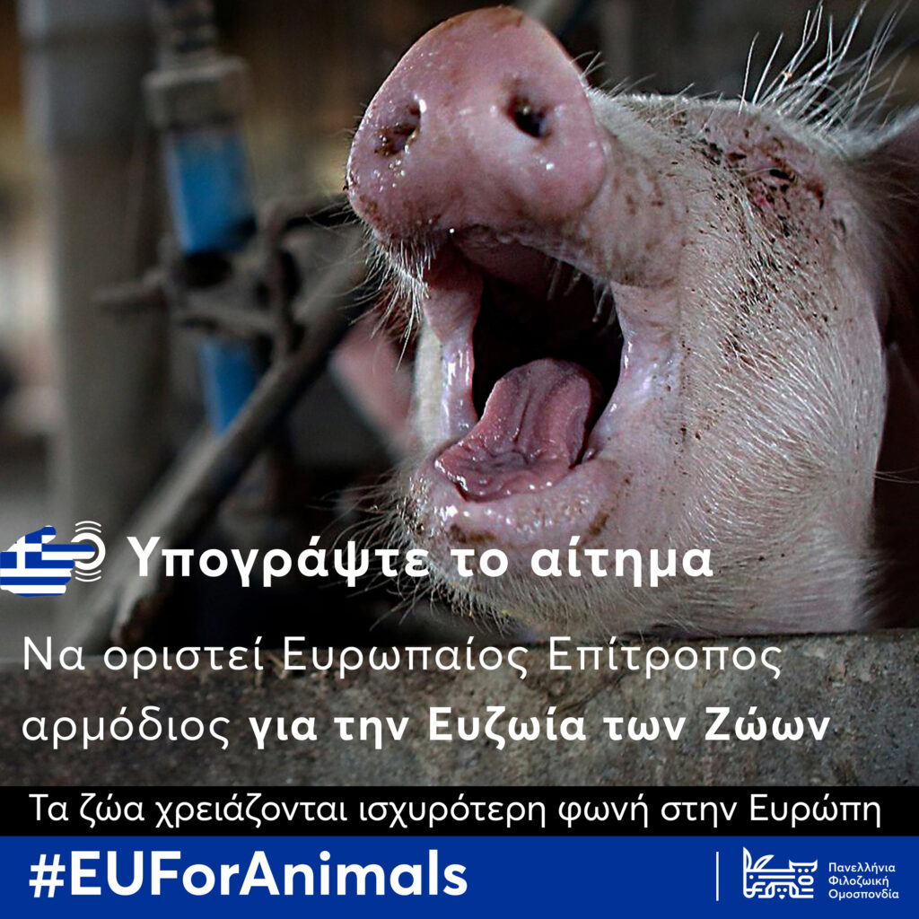 Πανελλήνια Φιλοζωική Ομοσπονδία (ΠΦΟ) - Hellenic Animal Welfare Fed.